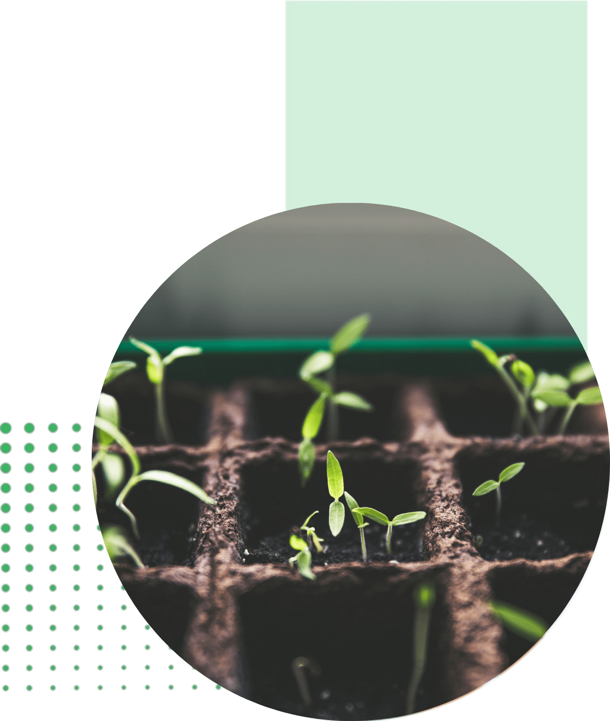 Développer une culture client efficace - Kestio